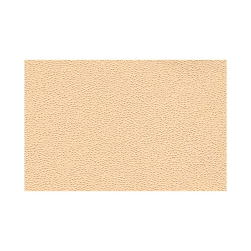 6502 Barley - Nappa Collection - Carleather