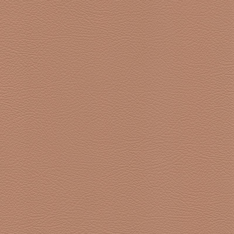 Spring 203 - Spring Collection - Carleather